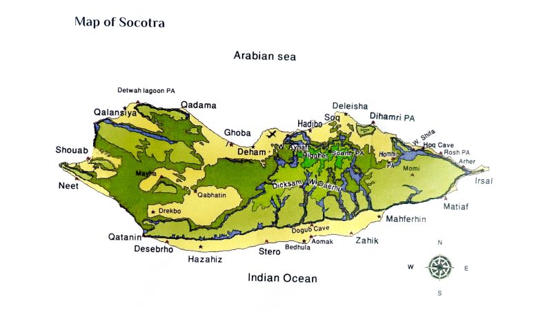 Utazás Socotra szigetére: minden, amit tudni érdemes | Traveladdict